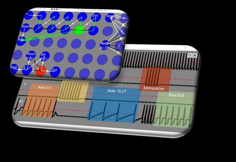 Brain Simulator II: Open Source Neuro-Simulator Toolkit - Future AI Society